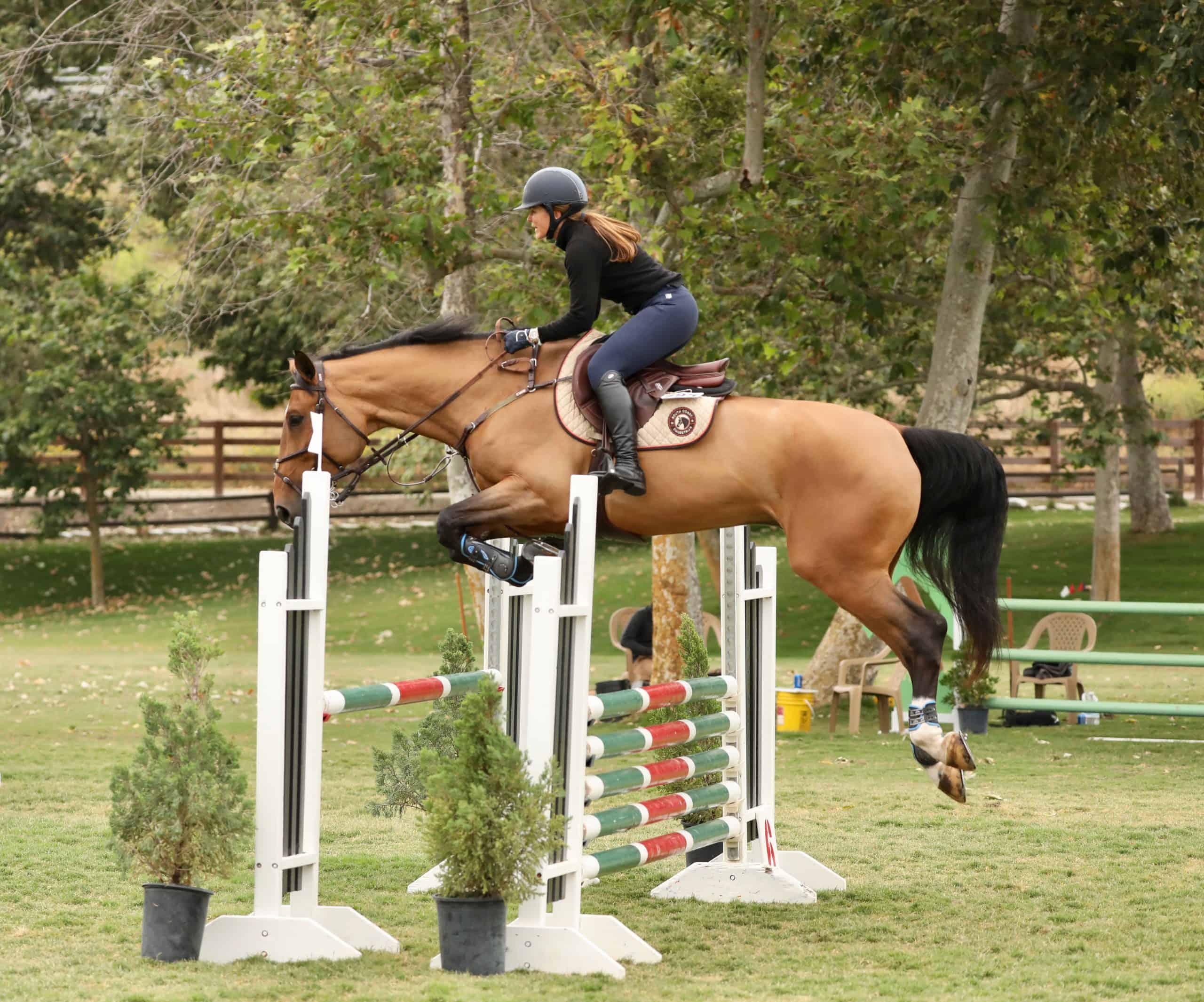 FAQ - South Coast Equestrian